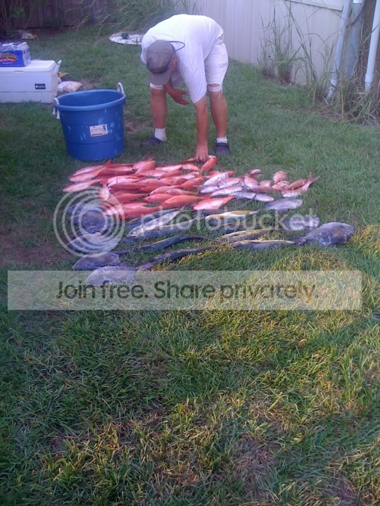 Federal Water fish killin Orange Beach 9/03/10 | Pensacola Fishing Forum